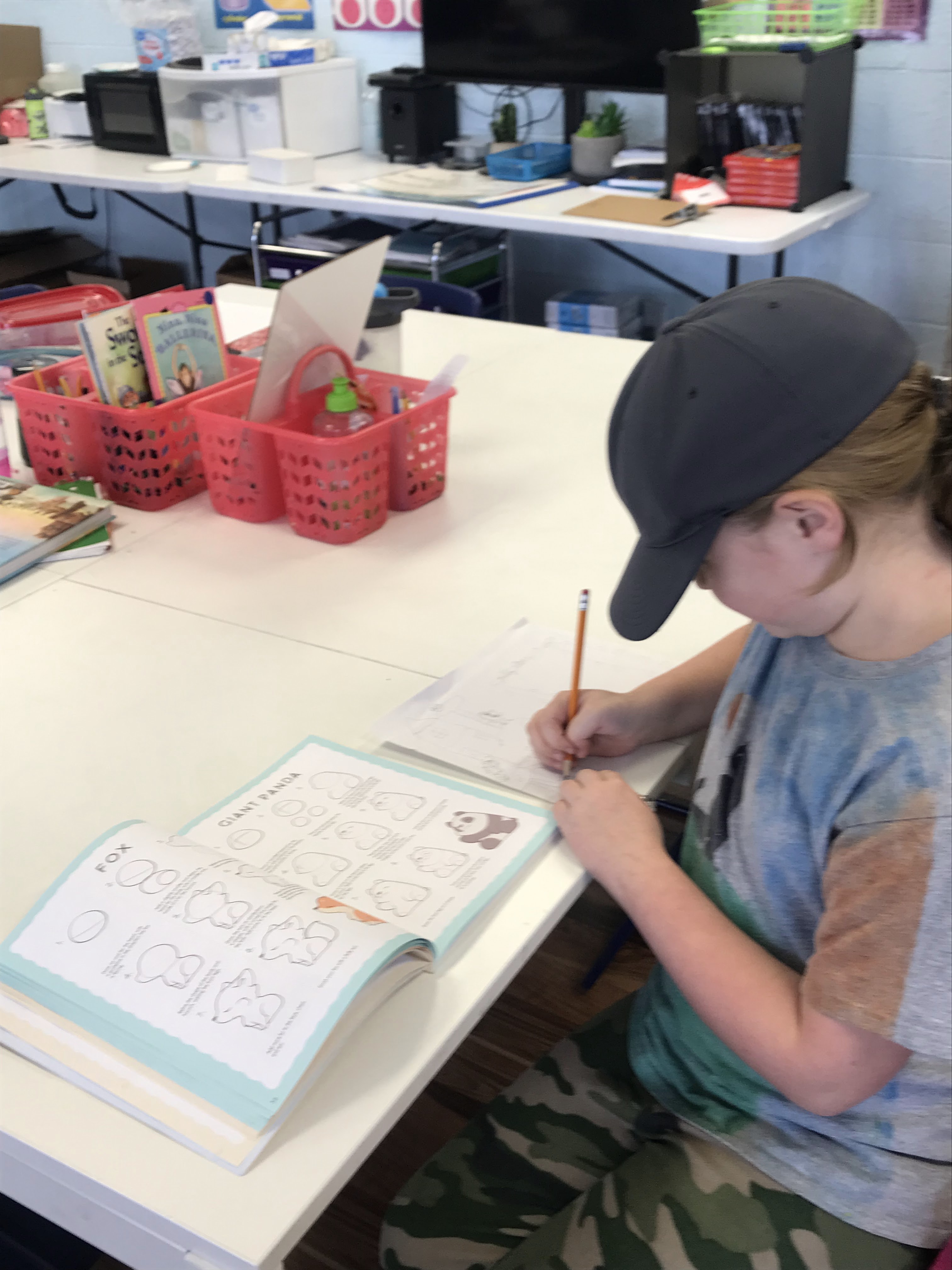 Curriculum Overview - Mastery Learning Academy